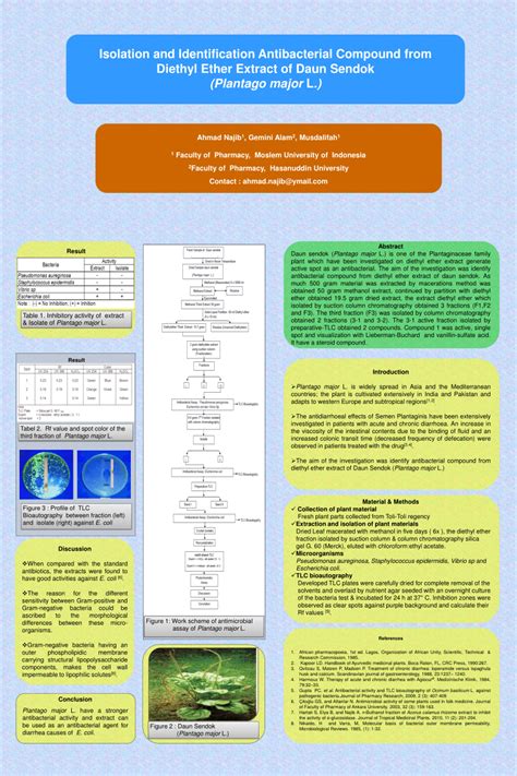 Pdf Isolation And Identification Antibacterial Compound From Diethyl Ether Extract Of Daun