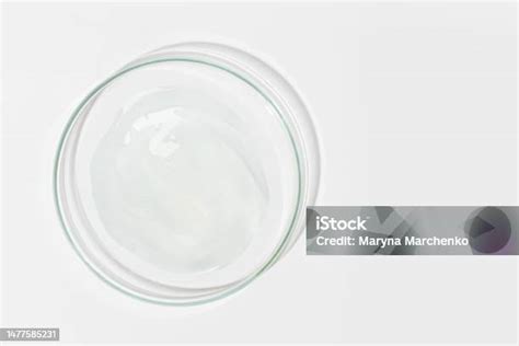 밝은 배경에 페트리 접시입니다 맑은 젤이 묻어 있습니다 화장품 젤 윤활제 젤 위에서 본 모습 건강관리와 의술에 대한 스톡 사진 및 기타 이미지 Istock