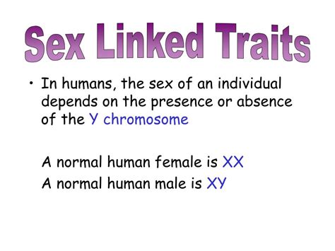 Ppt Humans Have 23 Pairs Of Chromosomes Powerpoint Presentation