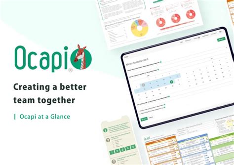 Ocapi チームを「見える化」する