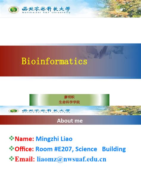 1 Introduction To Bioinformatics Pdf