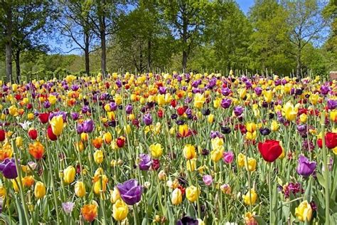 As The Right Peddles A Conspiracy About Trans People And Easter A Reflection On The Spiritual