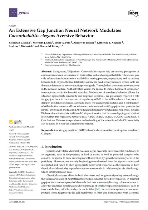 Pdf An Extensive Gap Junction Neural Network Modulates Caenorhabditis