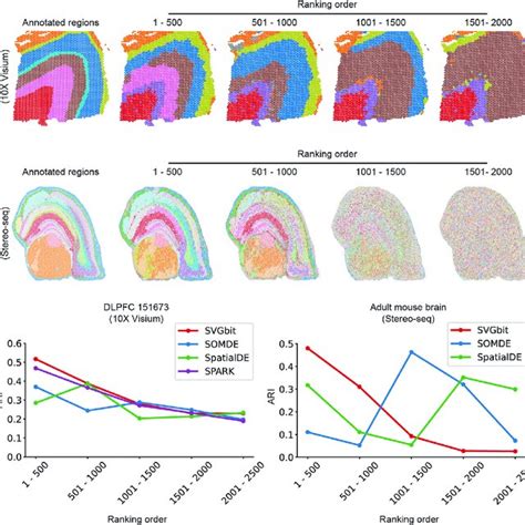 the spatiotemporal patterns of individual svgs in mouse brain