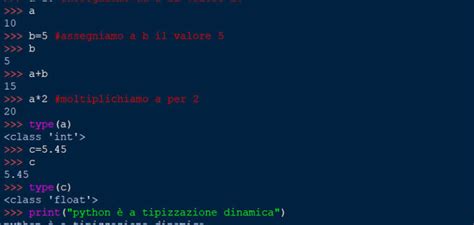 Variabili In Python Tipizzazione Dinamica Delle Variabili