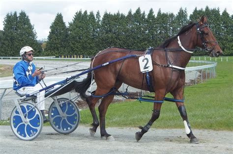 Ruby Roe Wins Heat Of Oaks Harnesslink