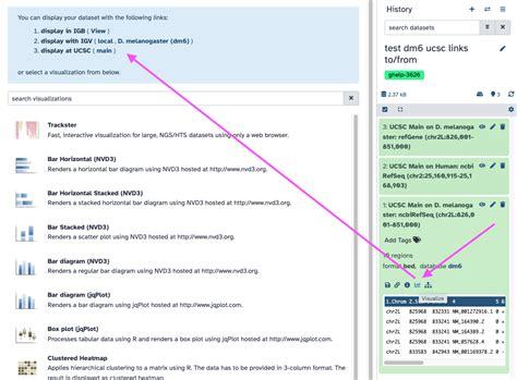 Ucsc Link Using Galaxy To See Rna Seq Peaks Tool Help Galaxy Community Help