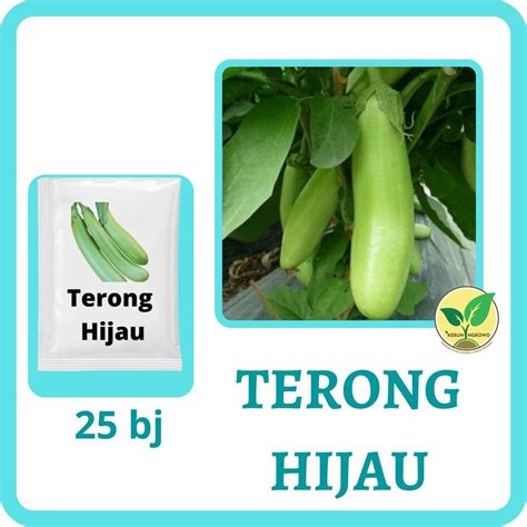 Jual Benih Biji Seed Terong Hijau 25 Biji Kemasan Klip Shopee Indonesia