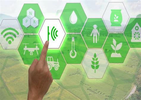 THE Covid 19 A Changing World And A Changing Approach To Agriculture
