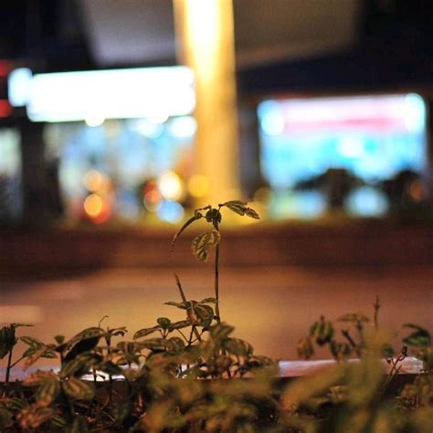 问两个深层对象如何替换合并？ 知乎