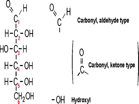 Functional Groups In Sucrose