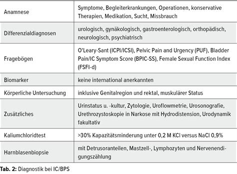 Erste Leitlinie Zur Diagnostik Und Therapie Der Interstitiellen