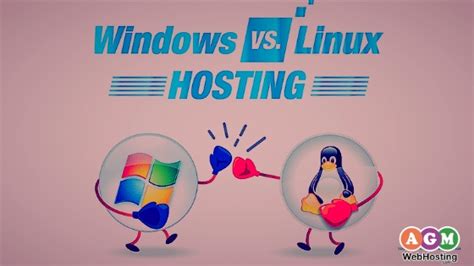 Differences In Between Linux And Windows Hosting