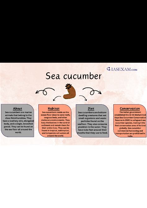 Sea Cucumber Ias Exam