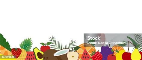 흰색 배경에 신선한 감귤류 과일의 프레임입니다 신선한 과일 모듬 음식과 건강한 식생활 개념 벡터 일러스트 레이 션입니다 감귤류 과일에 대한 스톡 벡터 아트 및 기타 이미지