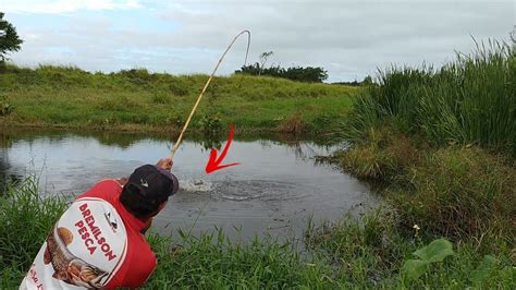 Essa Me Surpreendeu Youtube