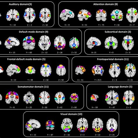 hierarchical functional architectures of the brain and notations used