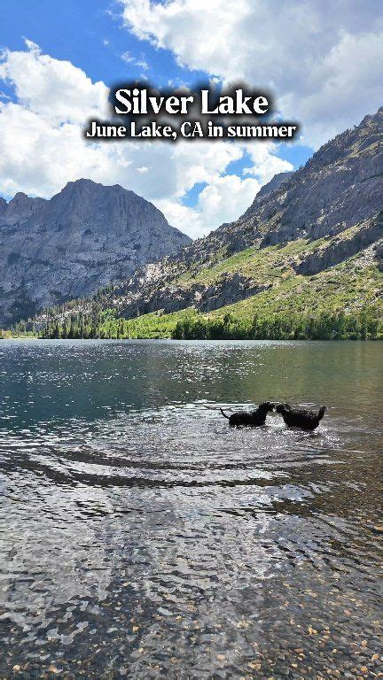 Silver Lake June Lake California In Summer Karla Castillo Facebook
