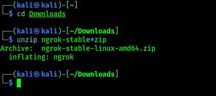 Cómo instalar y usar Ngrok en Kali Linux MuyLinux