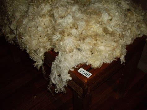 Wool Classing Table 1849 Ehive
