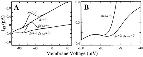 Steady State Current Voltage Relation I Ss Versus V For The Model Download Scientific