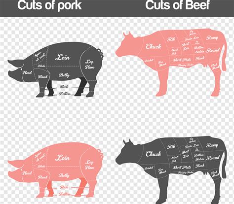 다양한 종류의 고기 돼지고기 부위 쇠고기 부위 Png Pngwing