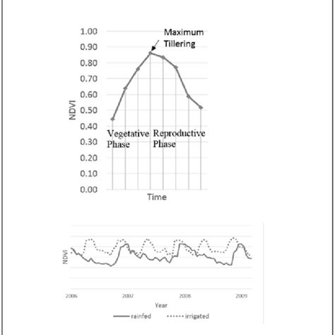 The Paddy Phenological Stages And Phenology Curve Of Rain Fed And Download Scientific Diagram