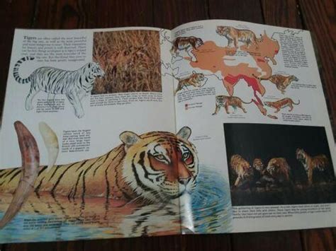 Zoobooks March 1992 Big Cats Magazine Wildlife Education 3932146195