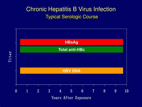 Ppt Screening Of Pregnant Women For Hepatitis B And Overview Of