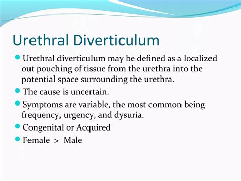 The Urethra And Male Genital Tract Ppt