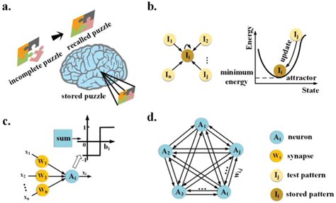 Schematic Views Of Hnn Architecture A Schematic Of Associative Memory Download Scientific