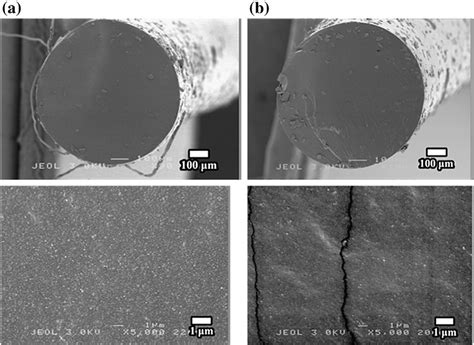 Scanning Electron Micrographs Of The Tensile Test Fracture Surfaces Of Download Scientific