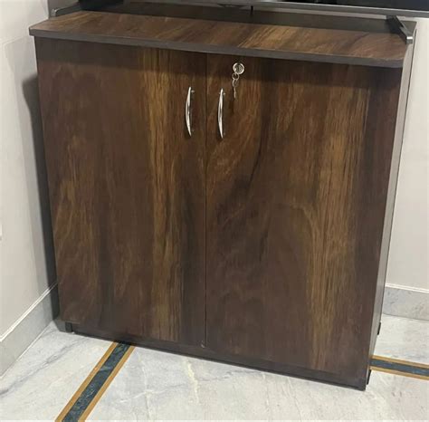 Multi Purpose Storage Cabinet At Rs 2500 Storage Cabinets In Jaipur