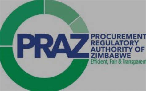 Praz Hails E Government Procurement System Newsday Zimbabwe