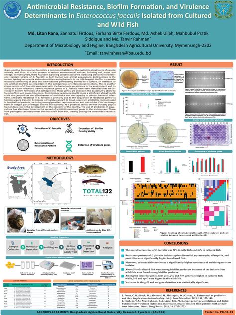 Pdf Antimicrobial Resistance Biofilm Formation And Virulence Determinants In Enterococcus