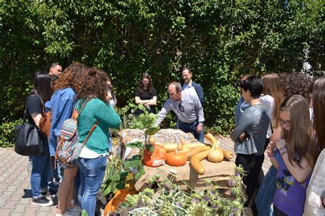 Institute Of Biosciences And Bioresources Ibbr Cnr