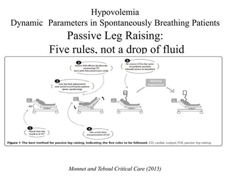 Basics Of Tte And Tee Trans Esophageal Echo Pptx