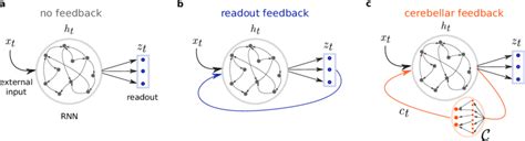 Schematic Of Cortical Recurrent Networks With Different Degrees Of