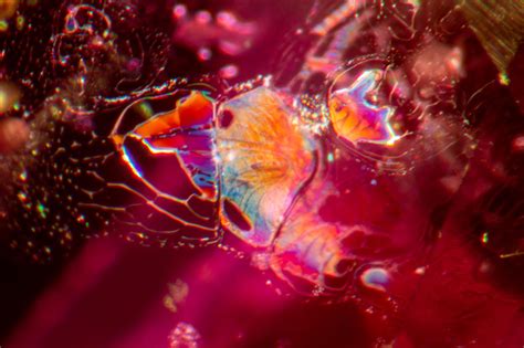 Typical Inclusions In Ruby Gemstones And Ruby Synthetics The Natural Ruby Company