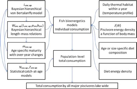 A System Of Age Structured Stock Assessment Models Coupled With Fish Download Scientific