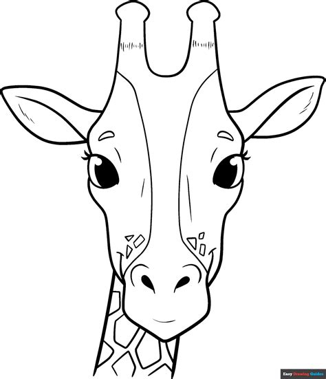 Giraffe Colour Drawing Easy