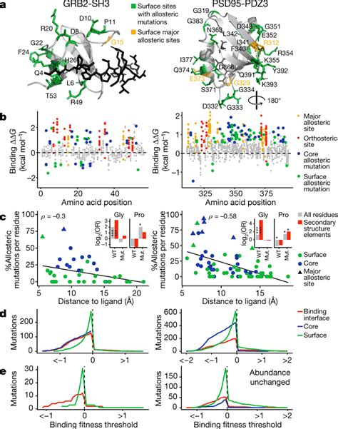 Protein Surfaces Are Frequent Sites Of Binding Affinity Modulation A