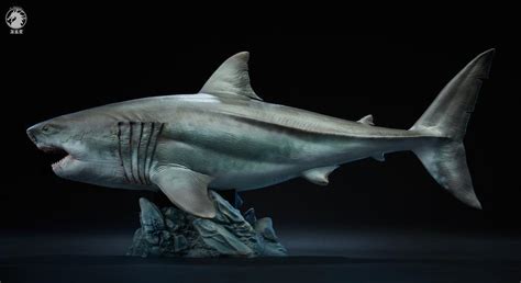 Megalodon Real Life Size Figure