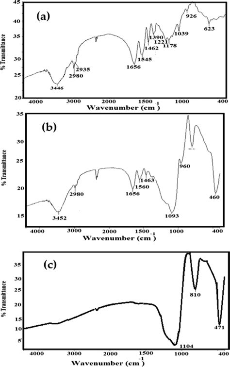 Ftir Spectra Of A Nipam 08amps 01 Vts 01 B Nipam
