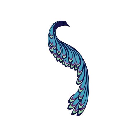Premium Vector Peacock Vector Illustration