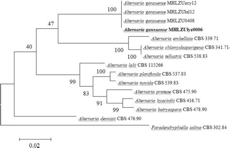 A Maximun Likelihood Analysis Tree Of The Concatenated Partial