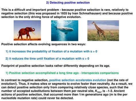 Ppt Understanding Selection In Natural Populations Balancing Factors