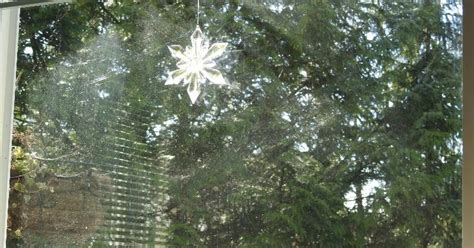 Mennonite Girls Can Cook Life Saver Window Cleaner