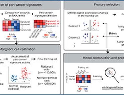 using supervised learning methods for gene selection in rna seq case