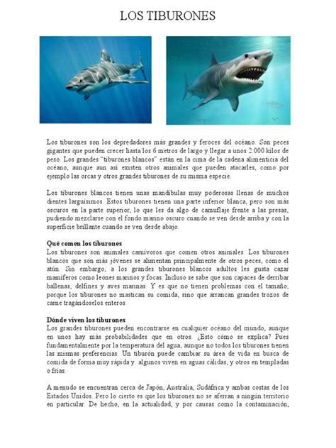 Alimentación Y Hábitat De Los Tiburones Pdf Ciencias Sociales